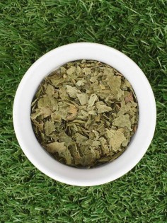 Erbe di Mauro: Sale and cultivation of Aloe, officinal and aromatic ...