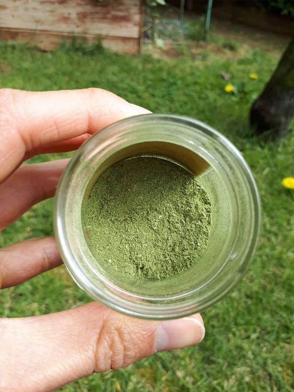 Horsetail powder, 50g