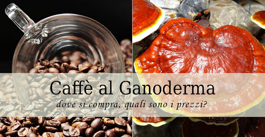 Caffè al Ganoderma. Dove si compra? Quali sono i Prezzi? - Erbe di Mauro